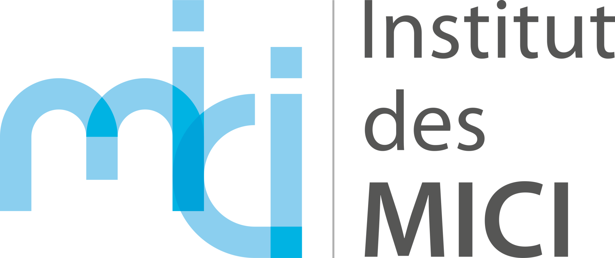 Institut des MICI : Centre d'expertise, d'excellence et de recherche